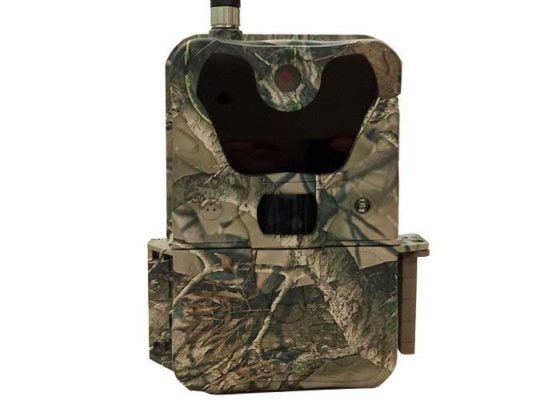 Different Types Of Trail Cameras | That Will Help Achieve Your Dreams