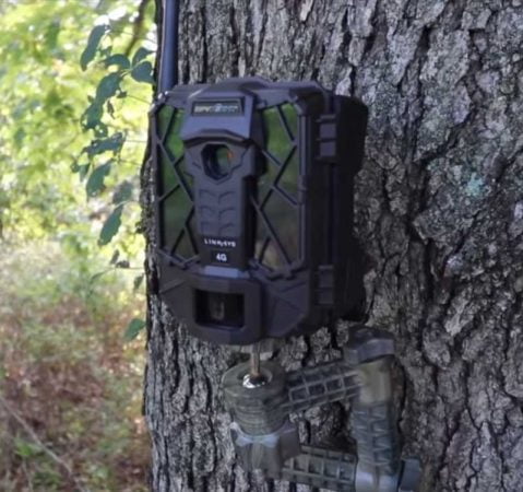 Top 3 Best Cellular Trail Cameras in The Year