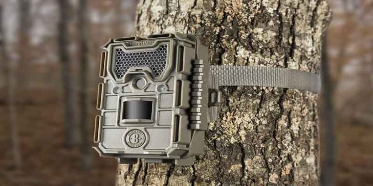 How to Set Up a Trail Camera | Perfect Guidelines for Beginners