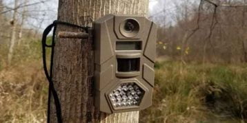 How to Set Up a Trail Camera | Perfect Guidelines for Beginners