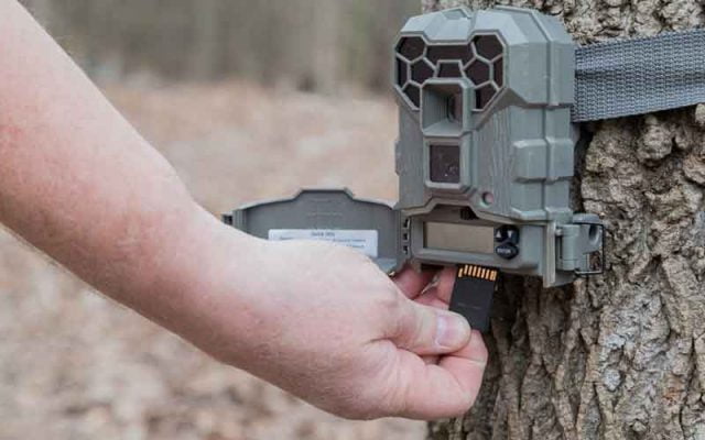 Top 3 Best Trail Camera Tips That Will Change Your Life