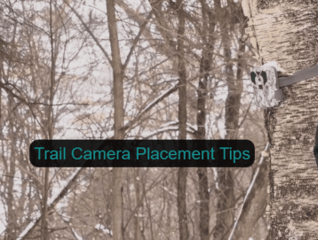 Trail Camera Placement Tips [According To Season & Location]