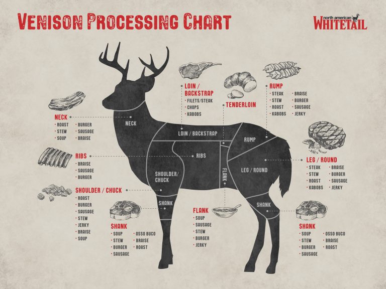 How Much Deer Meat After Processing: A Complete Breakdown
