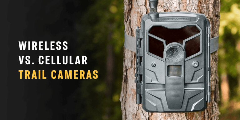 What's the Difference: Wi-Fi vs. Cellular Trail Cameras?