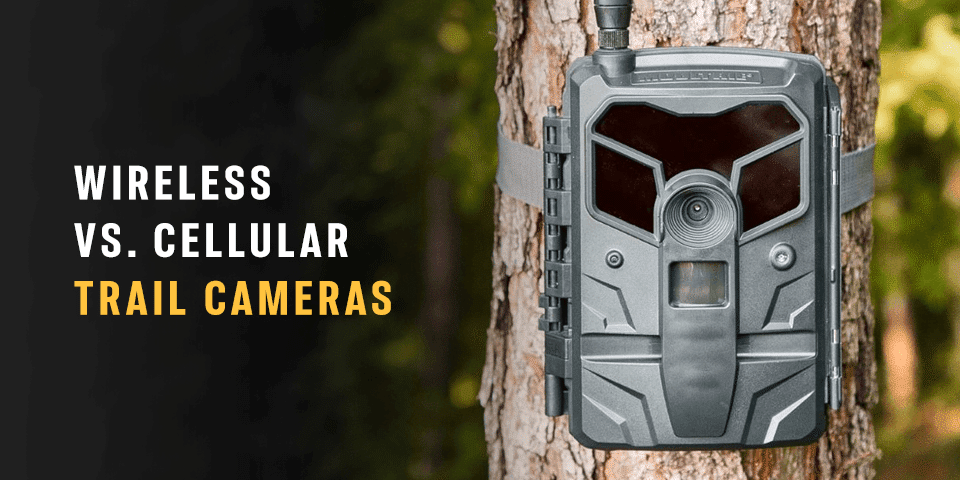 What's The Difference: Wi-Fi Vs. Cellular Trail Cameras?