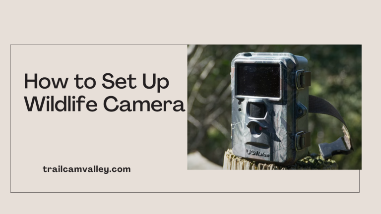 How To Set Up A Wildlife Camera: Easy 2025 Guide