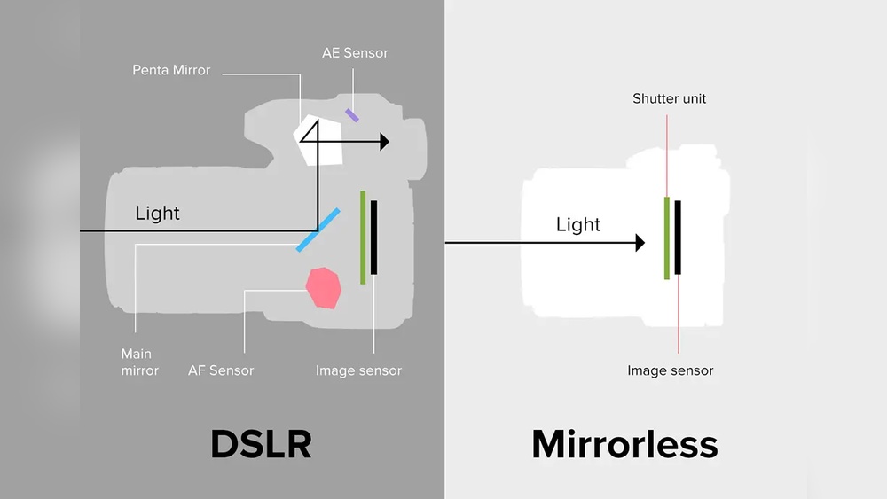 Mirrorless Camera Vs DSLR: Ultimate Guide To Choose Right Camera