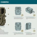 Cellular Trail Cameras Without Subscription 2025