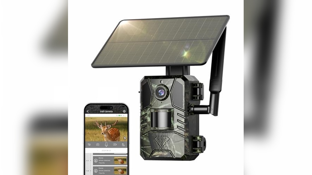 Best Trail Camera For Night Time Pictures: Top Picks For Clear Wildlife ...